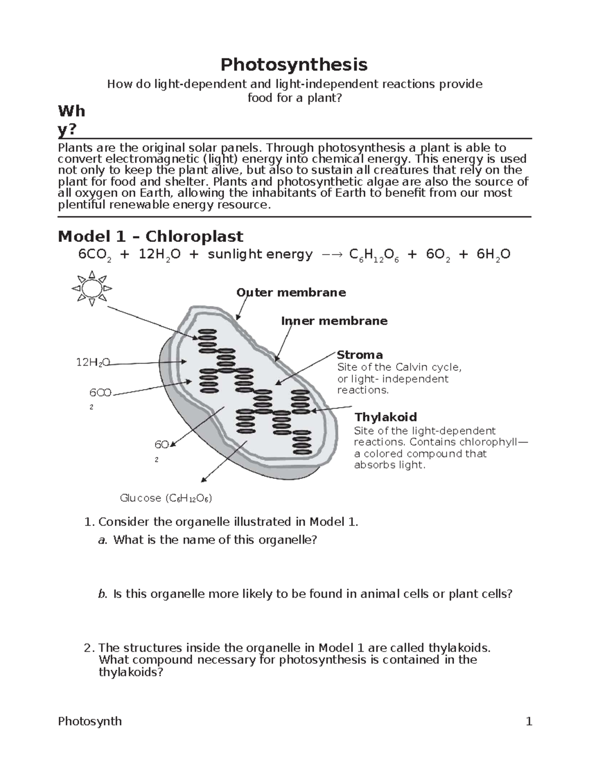 Pogil Activities on Photosynthesis: Understanding Plant Energy ...