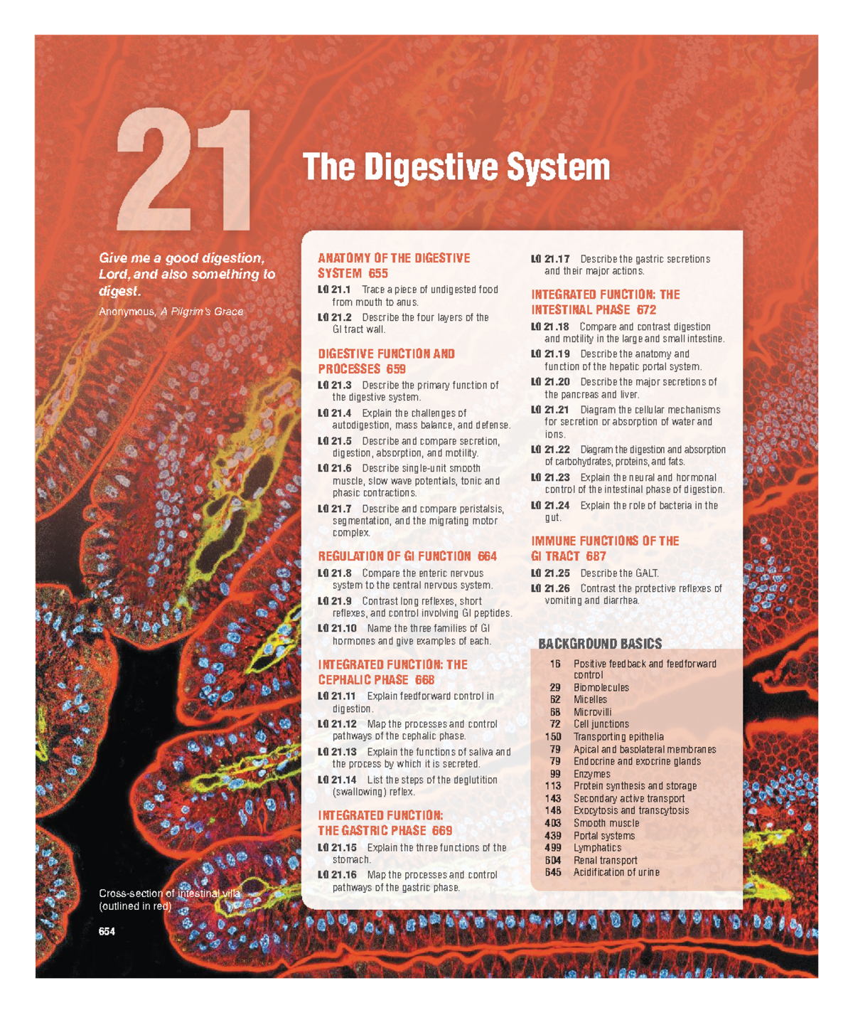 Chapter 21: Anatomy and Functions of the Digestive System (BIOL 101) - Studocu