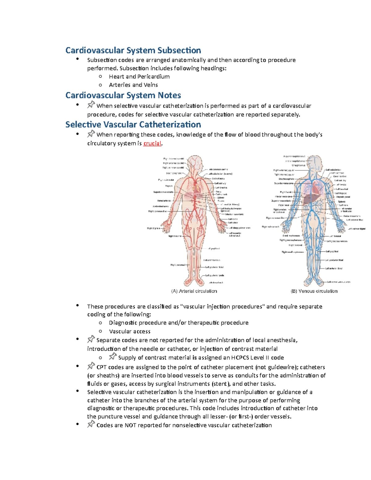 Chapter 13 Surgery II - Notes - Chapter 13 CPT Surgery II ...