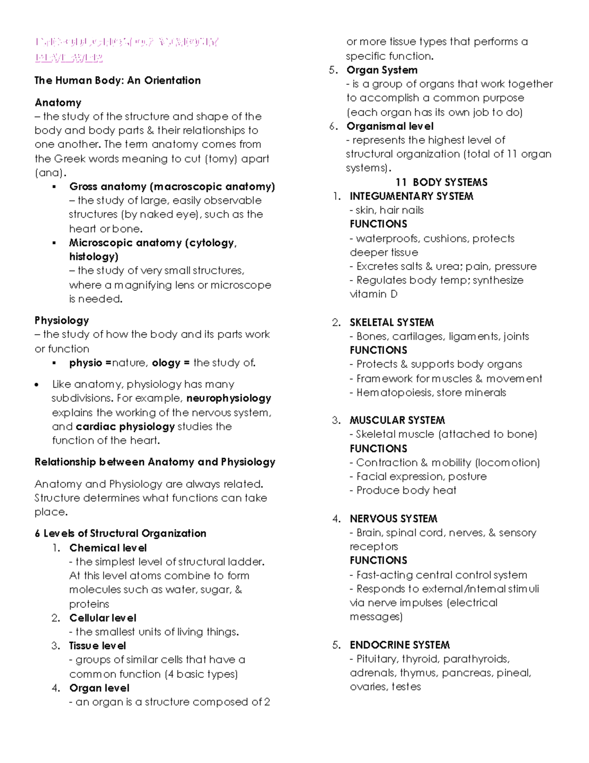 Introduction to Anatomy (ANAT 101) - Key Concepts and Body Systems ...