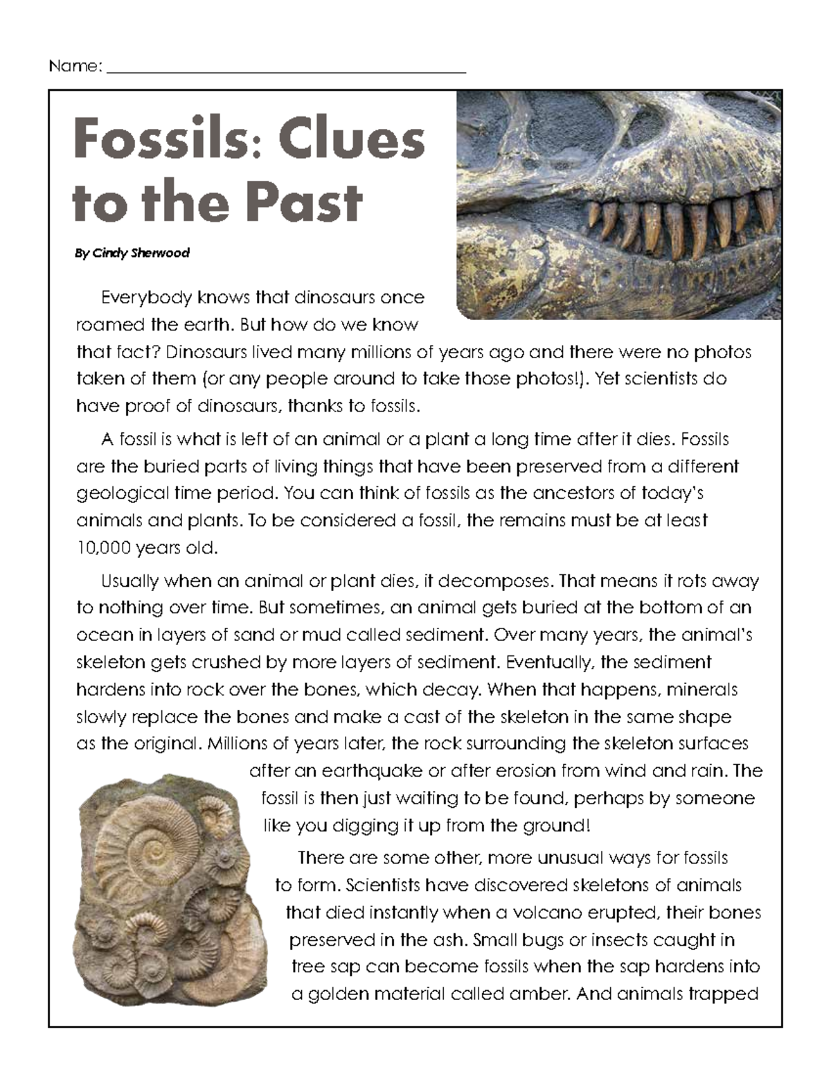 Fossils and Volcanoes: Exploring Earth's Ancient Clues and Forces - Studocu