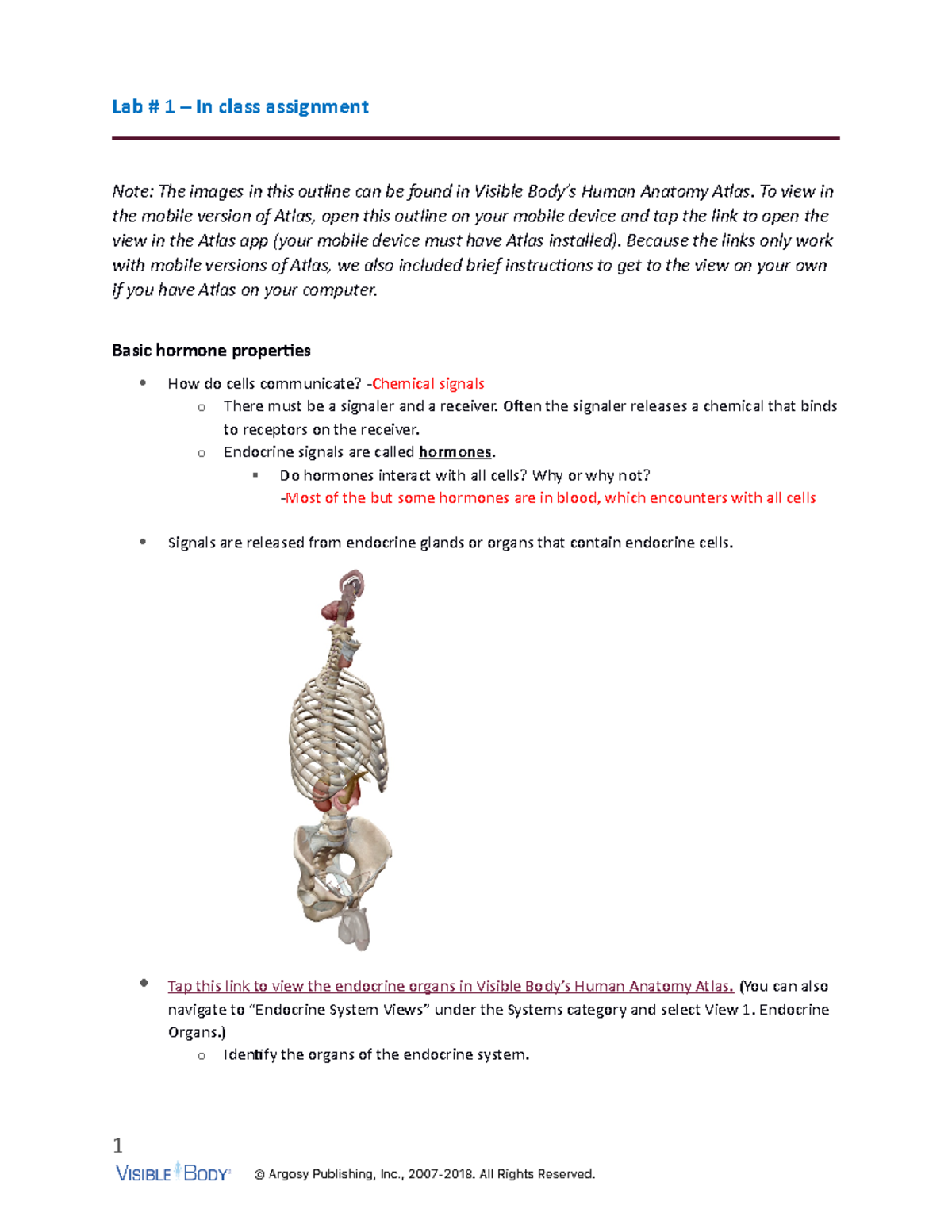 Lab 1 - In-Class Assignment: Exploring the Endocrine System - Studocu