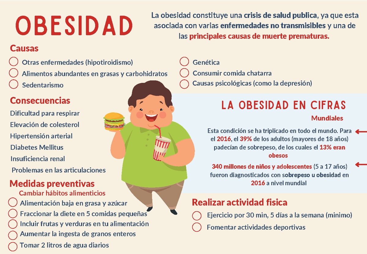 Causas De La Obesidad Causas De La Obesidad