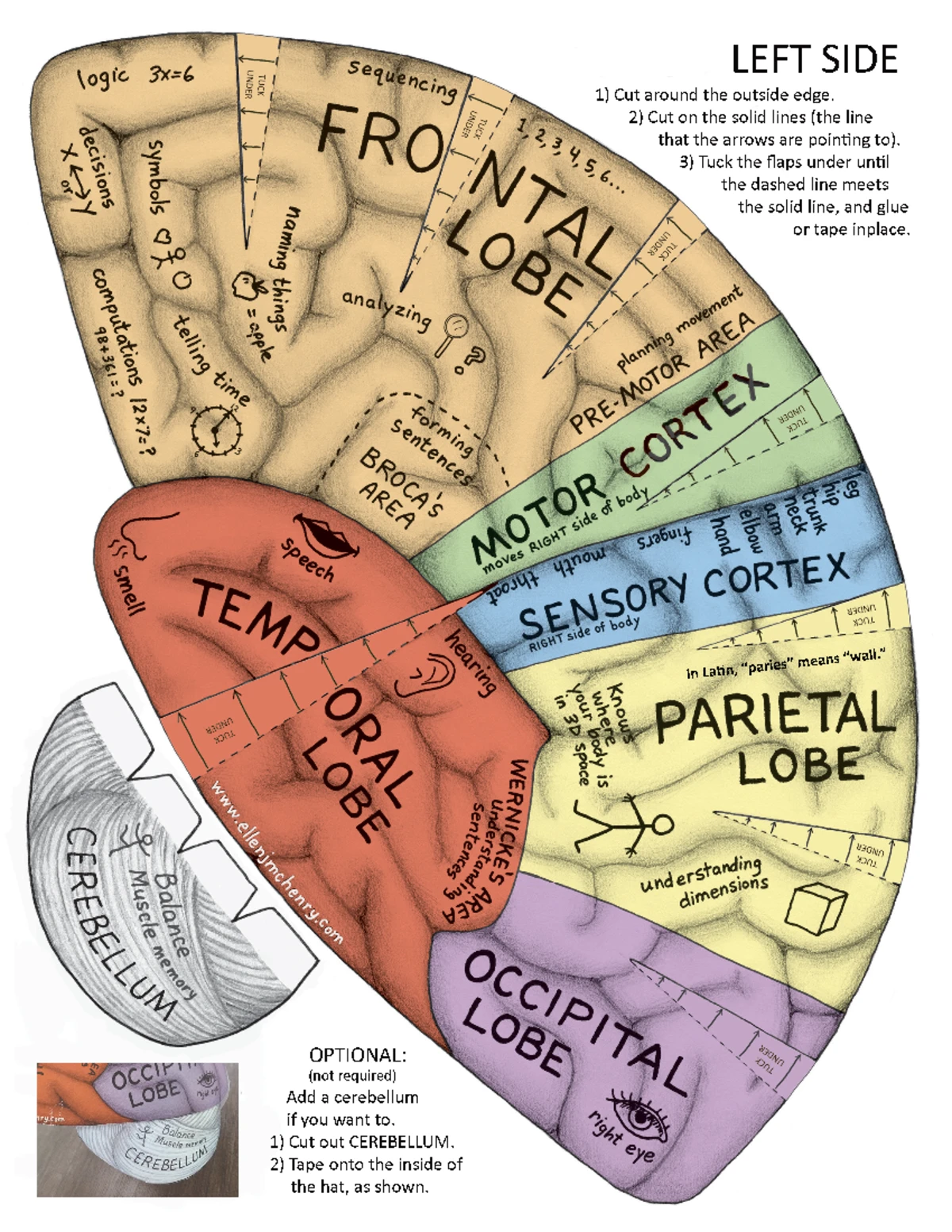 EBQ & AAQ Video Notes for AP Psychology: Writing Strategies & Tips ...