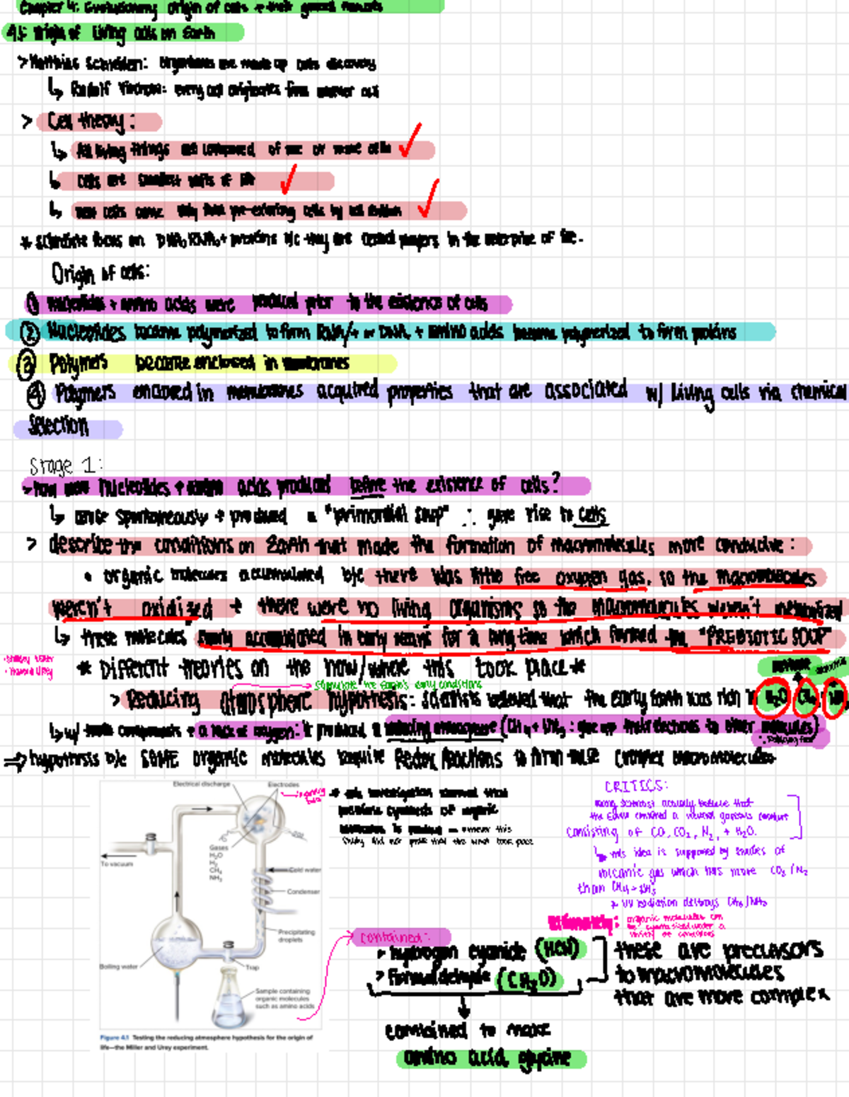 WEEK 3 Chapter 4 5 ( Lectures 7 8) - Chapter 4 : Evolutionary origin of cells e their general ...