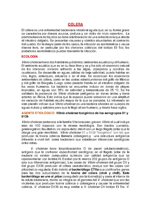 Fisiología de la Formación y características Generales de las heces ...