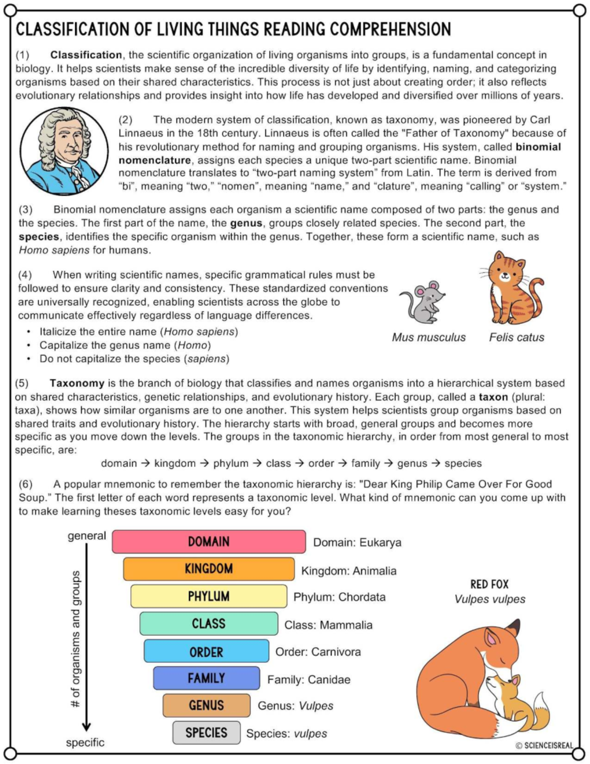 Classification and Taxonomy Reading - BIO 19271931 Notes - f c j b h a ...