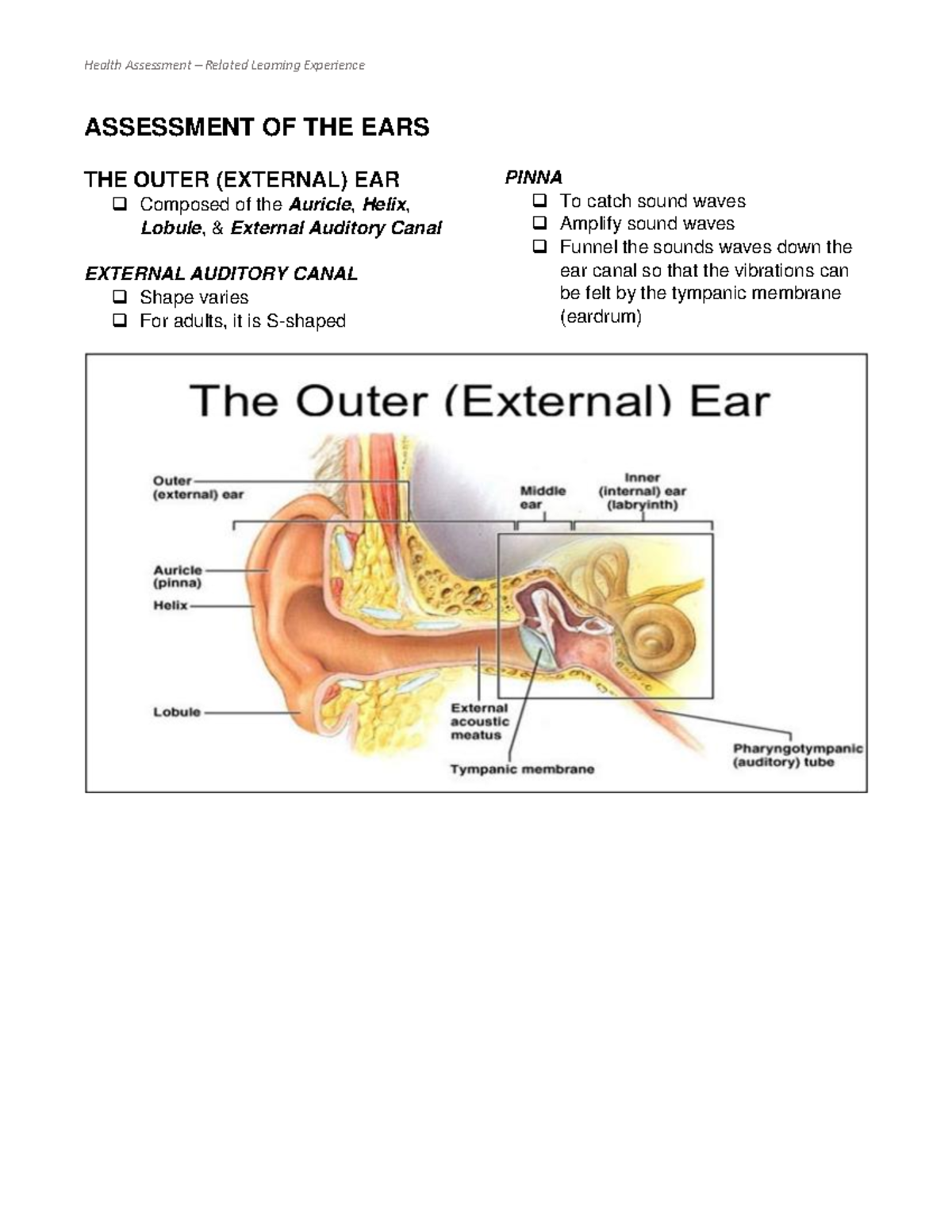 Ears-Assessment - Ears-Assessment - ASSESSMENT OF THE EARS THE OUTER ...