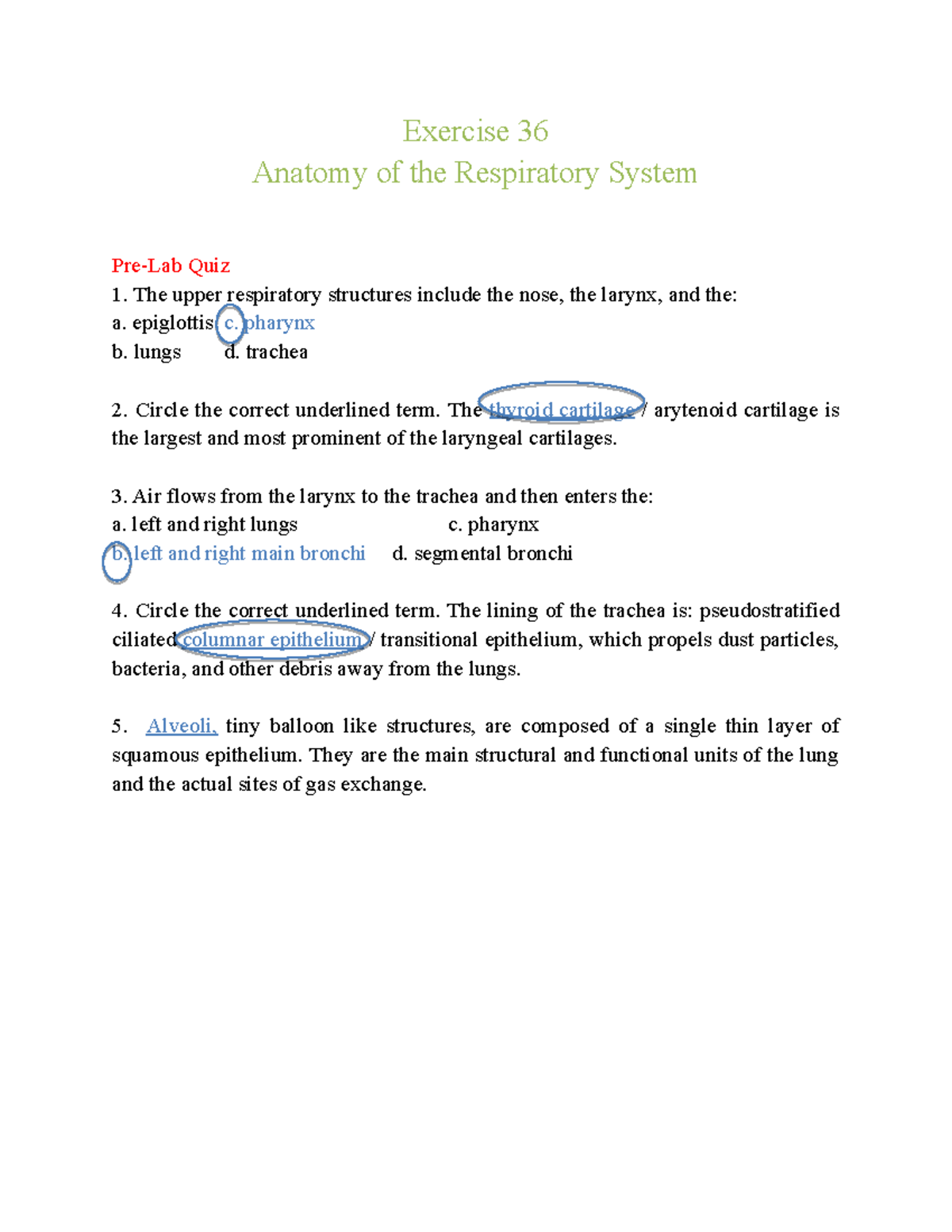 AnaPhy 36: Respiratory System Pre-Lab Quiz & Review Sheet - Studocu
