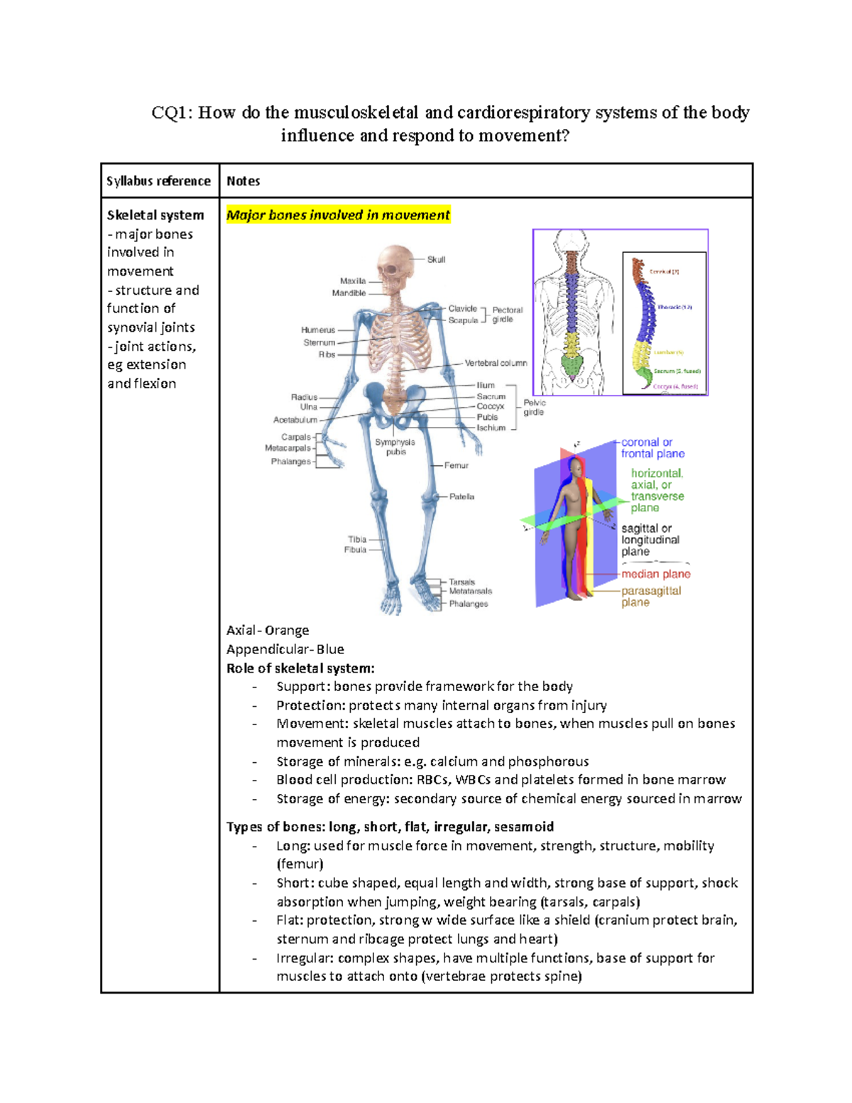Pdhpe CORE 2 Summary - CQ1: How do the musculoskeletal and ...