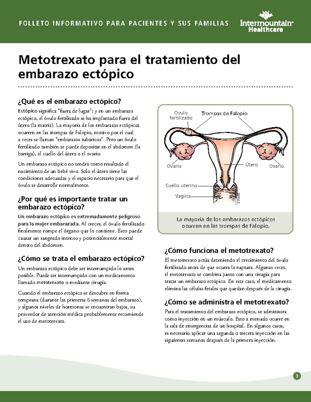 Methotrexate To Treat Ectopic Pregnancy Fact Sheet Spanish - F O L L E ...