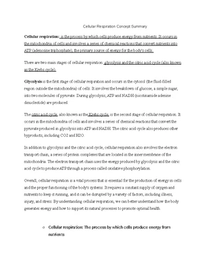 Cellular Respiration - Study Notes & Assignments - Studocu
