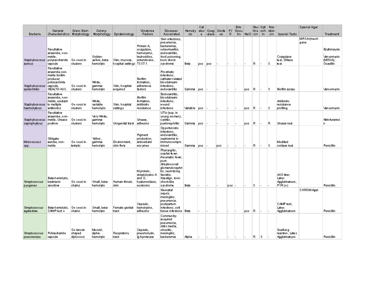 Gram positive - Sheet 1 - Summary Microbial Diversity and Pathogenesis ...