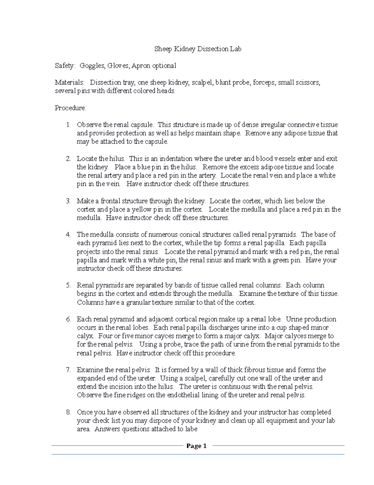 Ch 15 Sheep Kidney Dissection Lab Procedure and Observations - Studocu