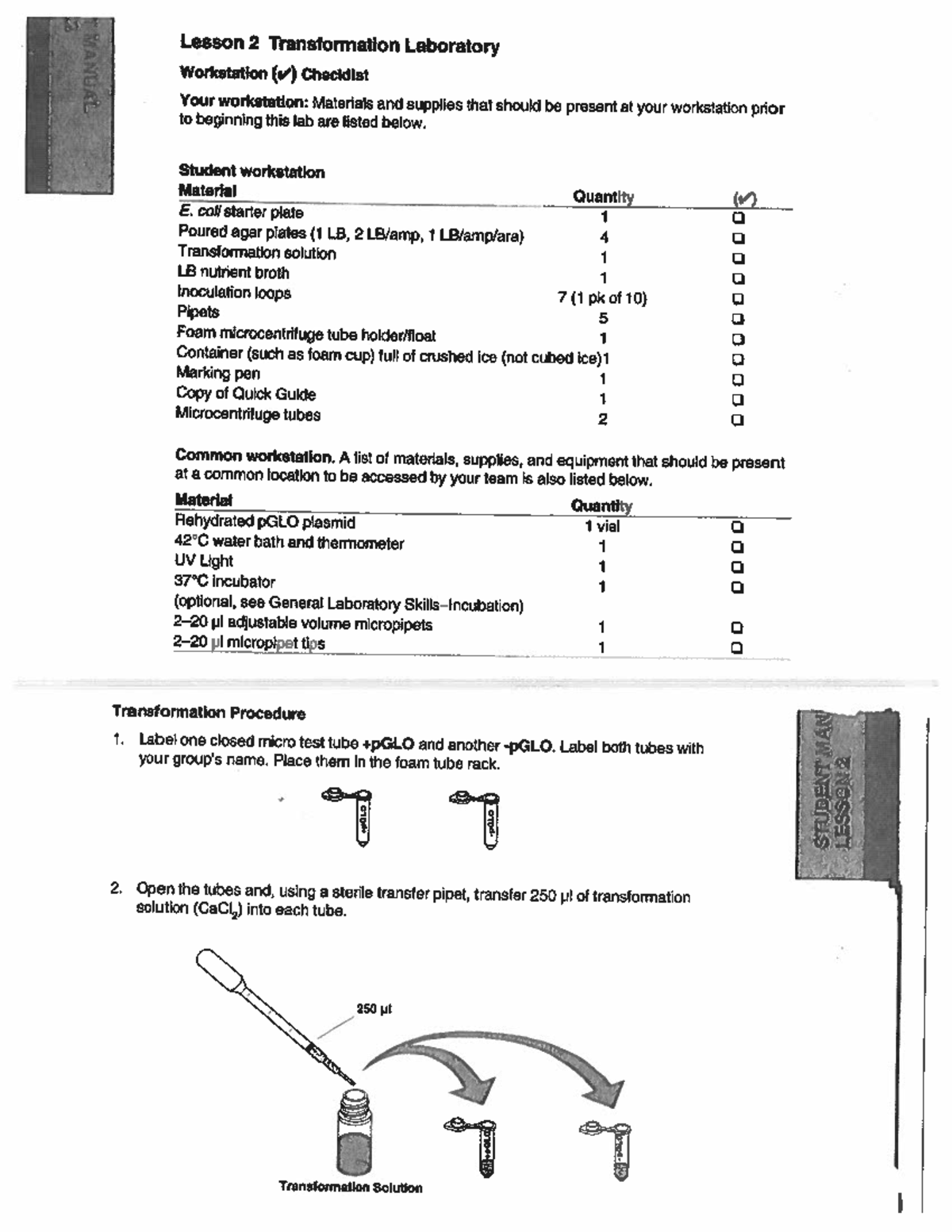 Hhmiphotosynthesisanimationworksheetdocx Photosynthesis