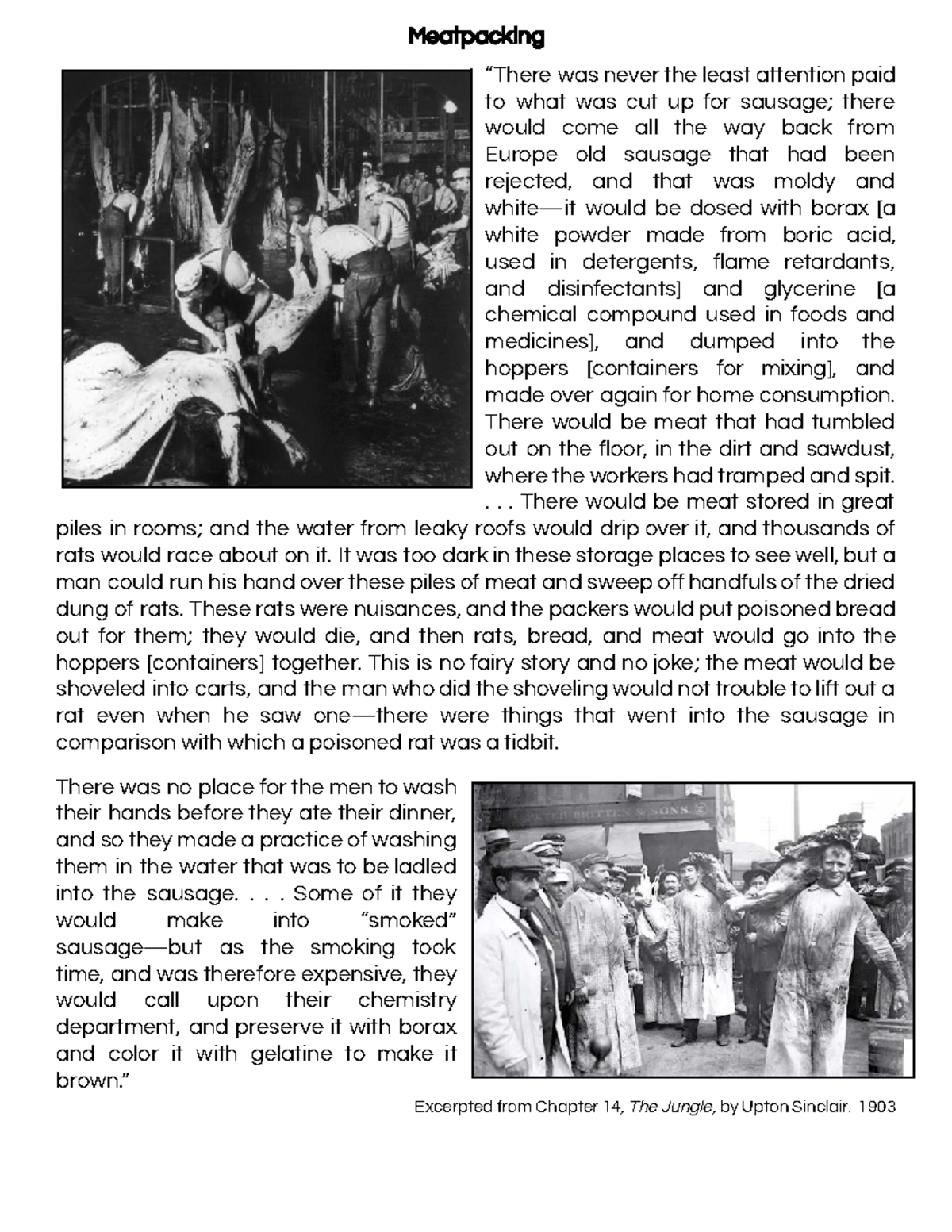 The Jungle Excerpts: Chapter 14 Analysis and Insights - Studocu