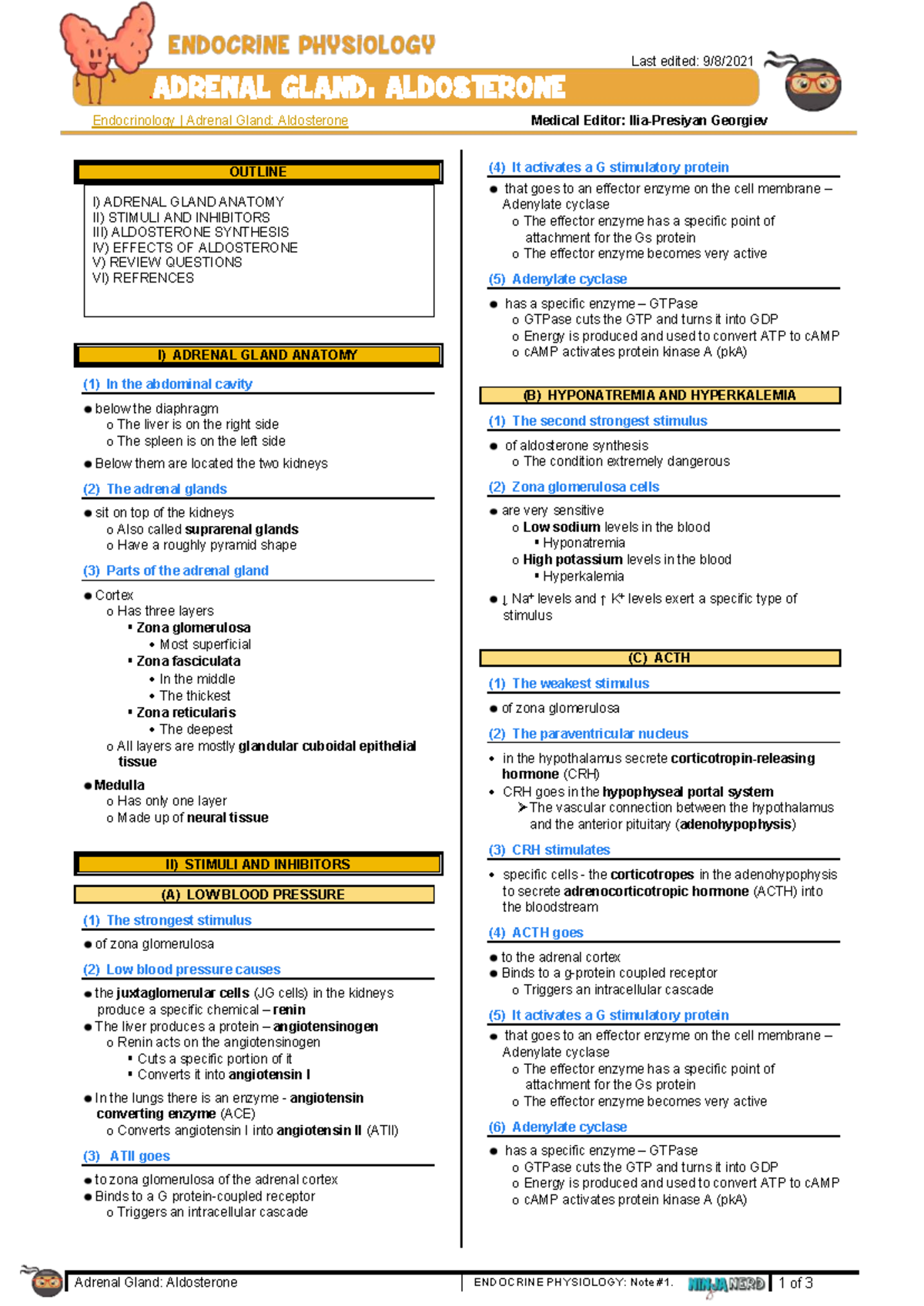 Adrenal Gland Overview: Key Concepts in Endocrinology (Course Code ...