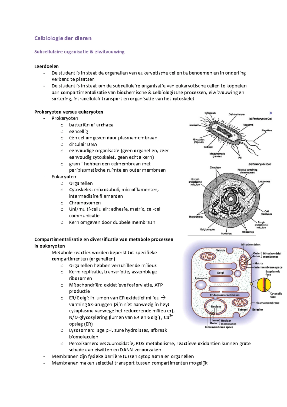 3.12 handout IMRa D - imrad structuur voor verslaglegging - IMRaD Een ...