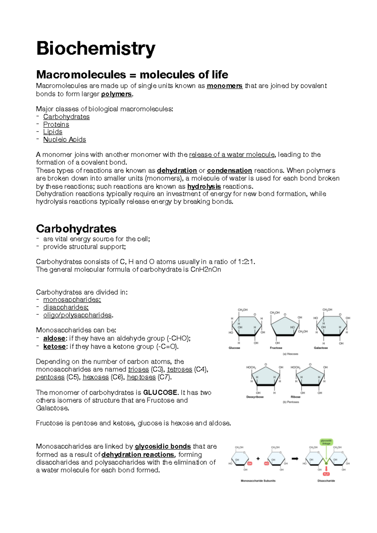 Biochemistry - Riassunto - Biochemistry Macromolecules = molecules of ...