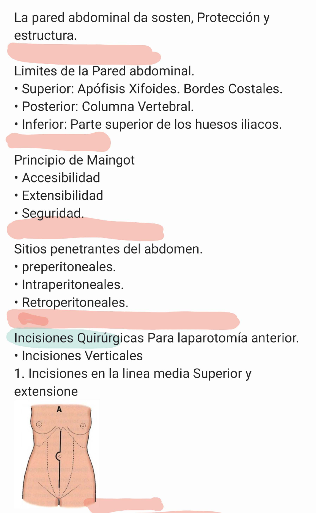 Incisiones Quirúrgicas en la Pared Abdominal - 250521 - Studocu