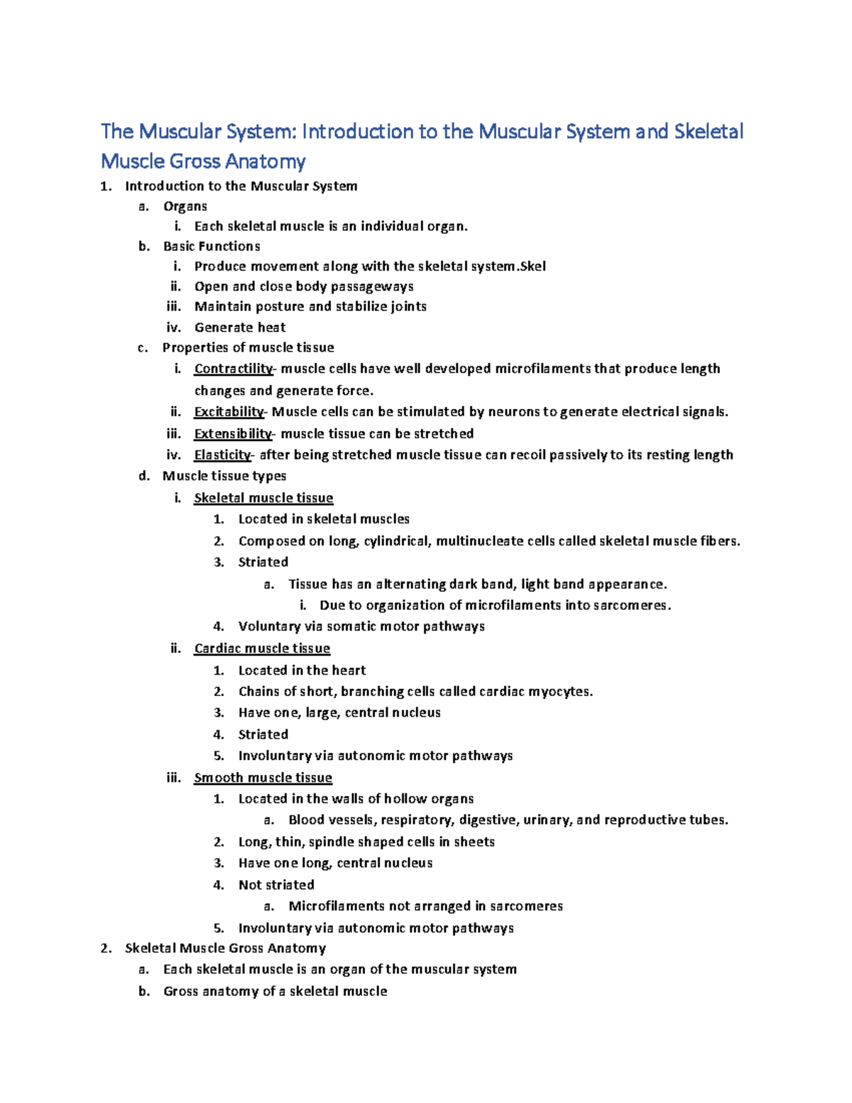 Muscular System Overview: Intro & Gross Anatomy (BIO 101) - Studocu