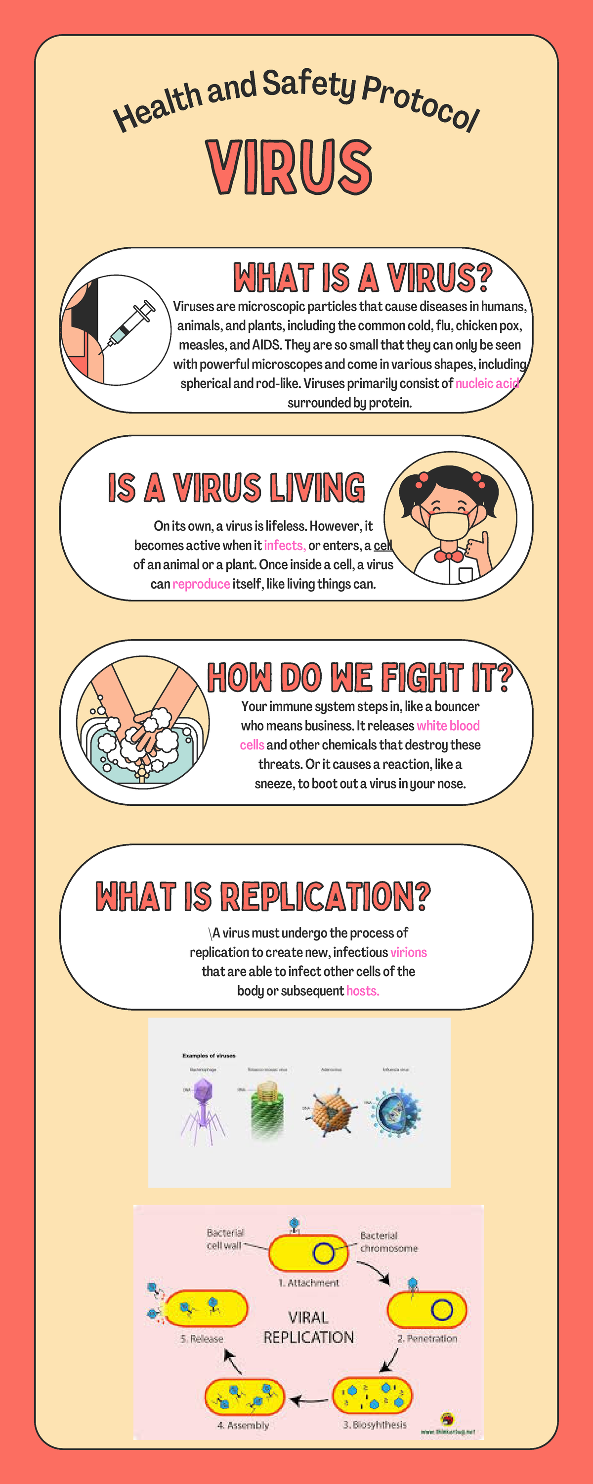 Understanding Viruses: Health and Safety Protocols in Disease Control ...