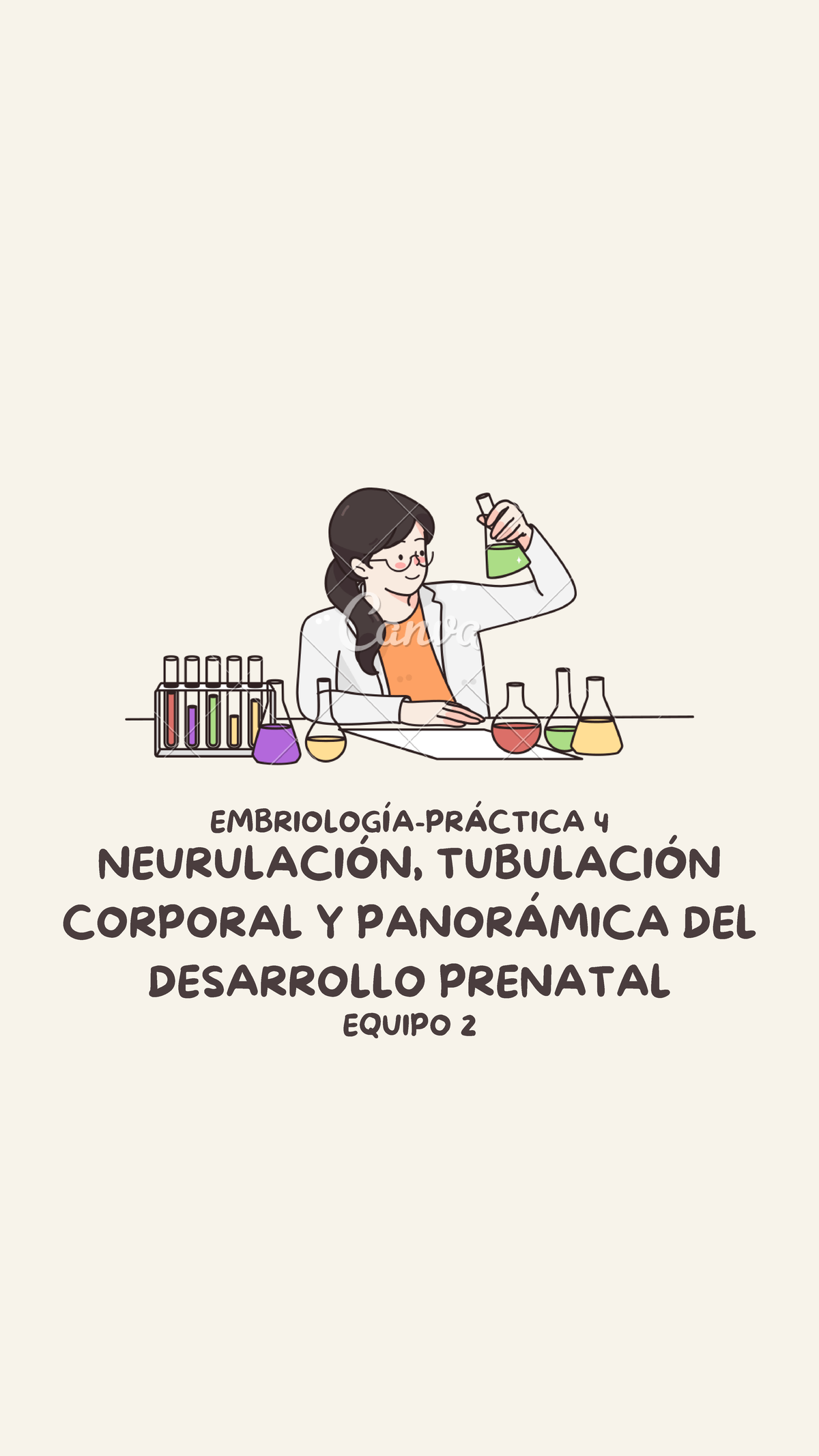 Práctica 4: Neurulación y Tubulación Corporal en Desarrollo Prenatal ...