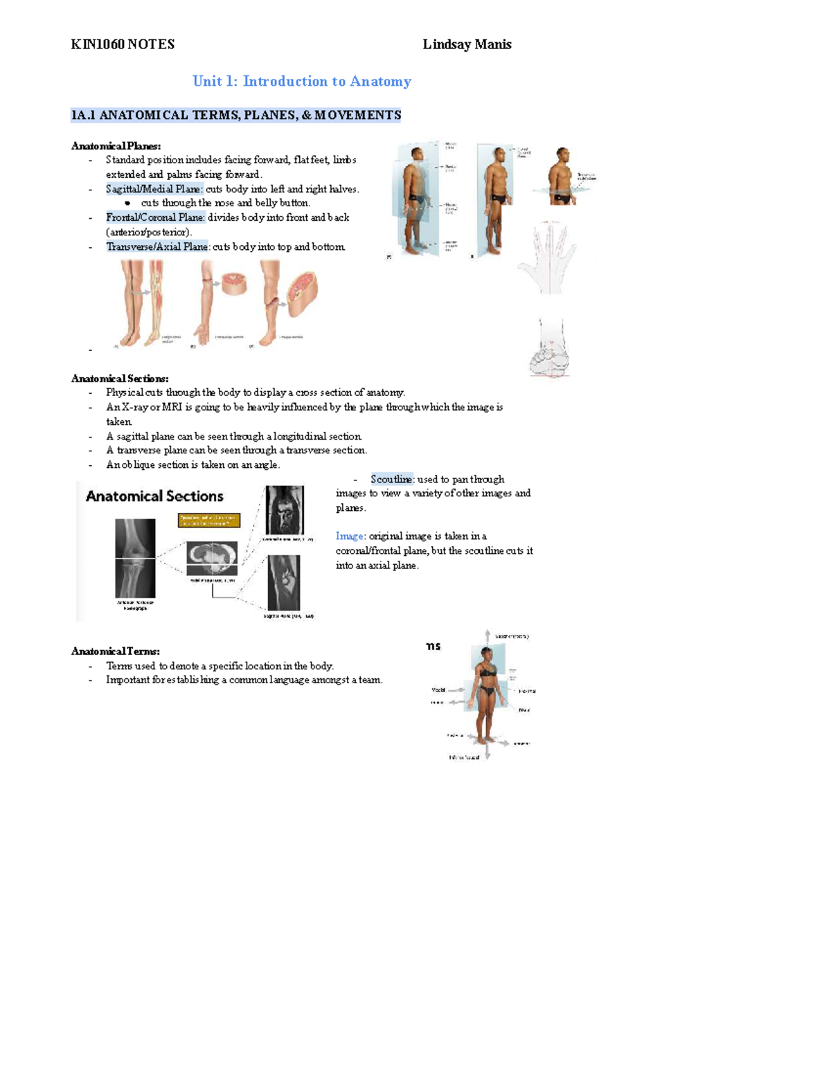 Kin 1060A Unit 1: Anatomy Course Notes on Terms, Planes, and Movements ...