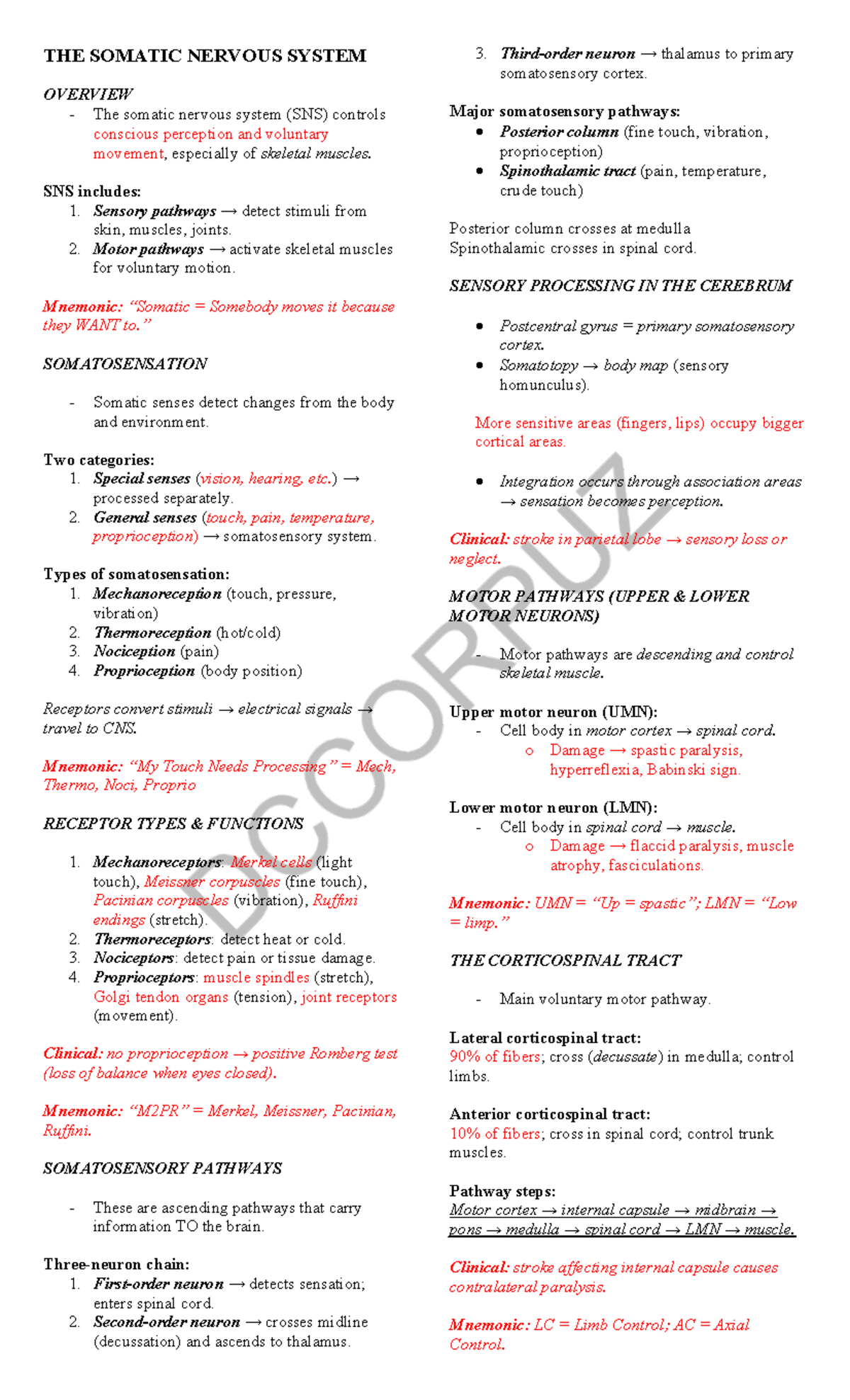 Somatic Nervous System Overview - Cramsheet for Exam - Studocu