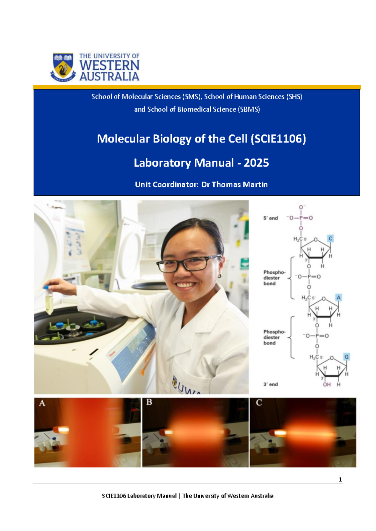 SCIE1106 Molecular Biology of the Cell Laboratory Manual 2025 - Studocu