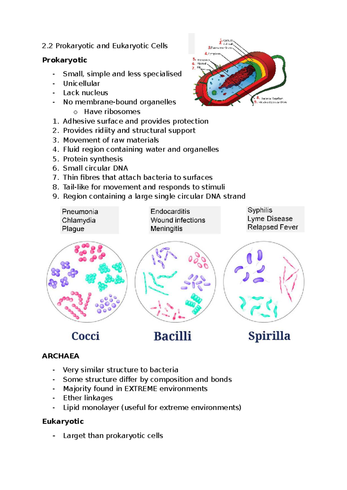 2.2 Prokaryotic vs Eukaryotic Cells: Structure & Functions - Studocu