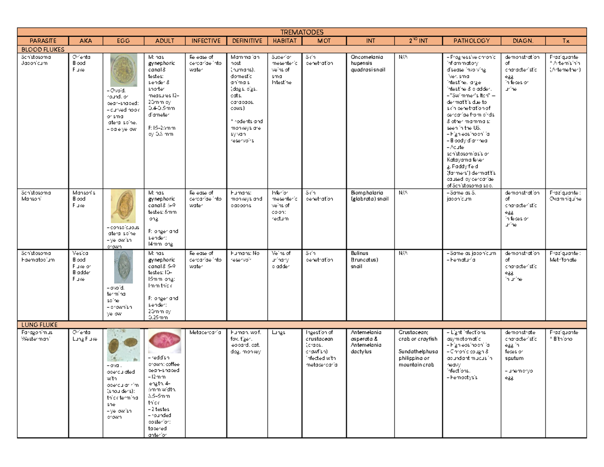 Trematodes Overview: Summary of Medical Parasitology 310 - Studocu