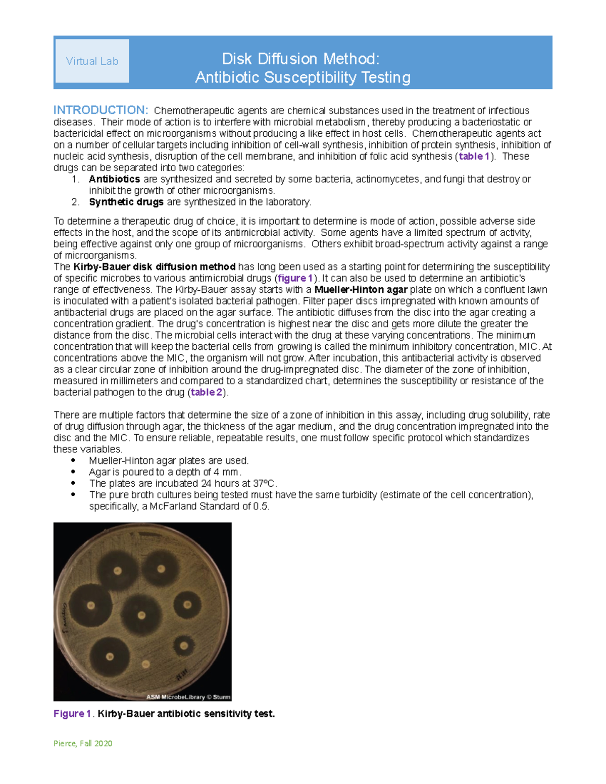 Antibiotic Susceptibility Testing in Virtual Lab: Disk Diffusion Method ...