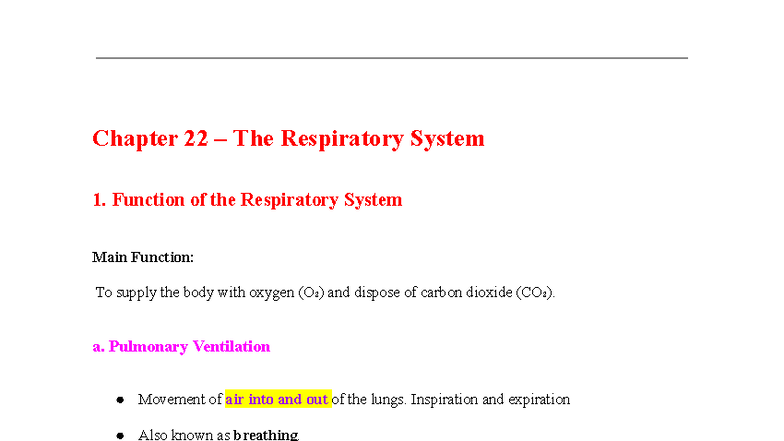 Ch22 The Respiratory System: Key Functions & Anatomy Overview - Studocu