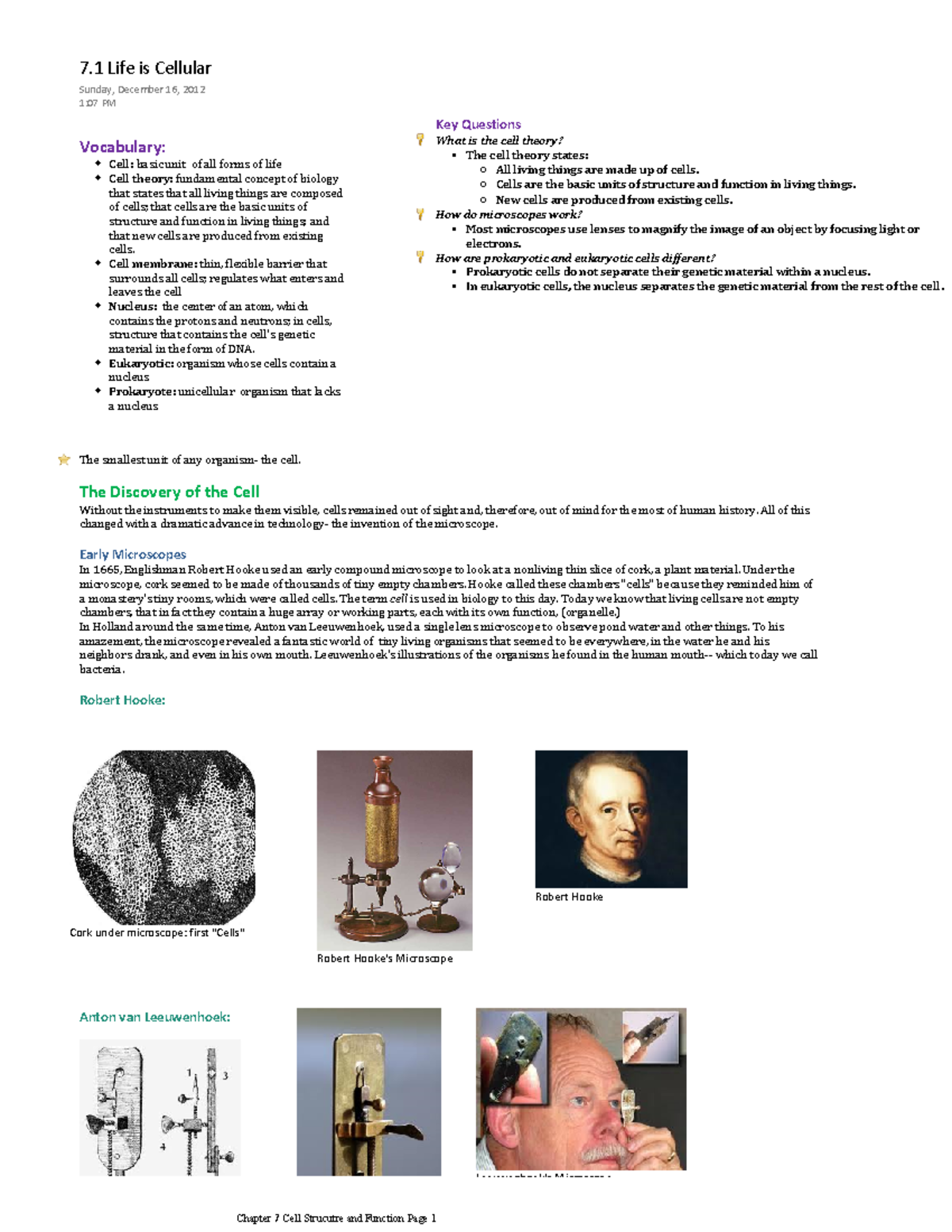 Chapter 7: Cell Structure & Function - Key Concepts and Theories - Studocu
