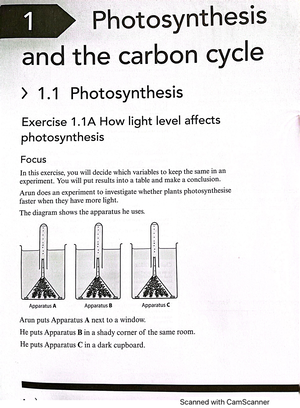 CS A level 2024-2025-syllabus - Syllabus Cambridge International AS & A ...