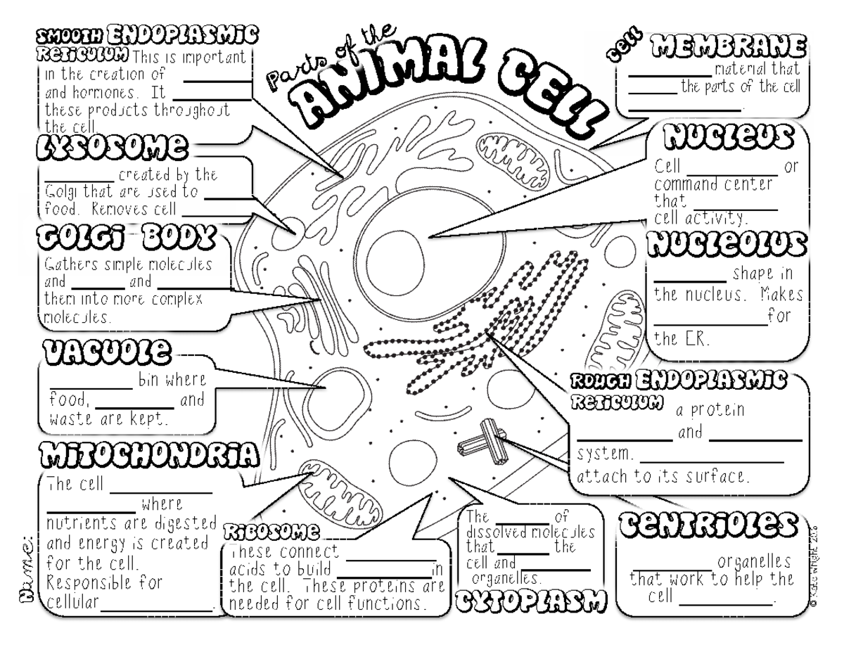 Cell Doodle Notes: Comparing Plant and Animal Cells - Studocu