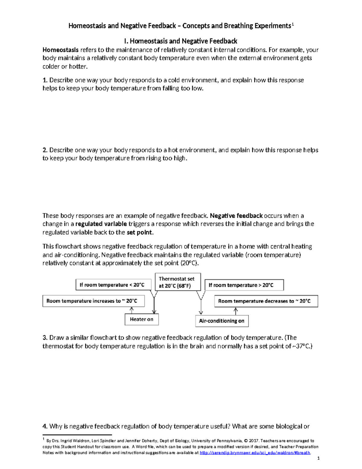 Homeostasis and Negative Feedback - Activity Notes for Bio 101 - Studocu