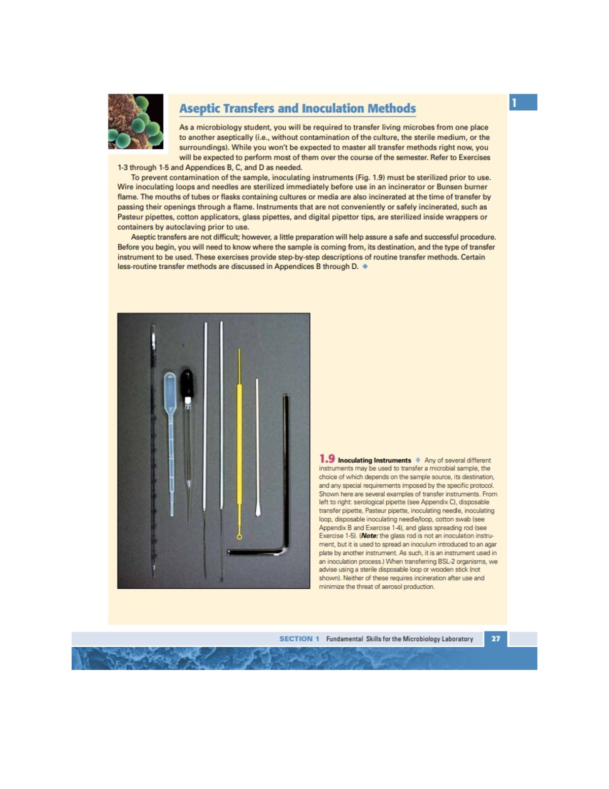 Final Exam Study Guide: Aseptic Transfers & Inoculation Methods (ABC ...