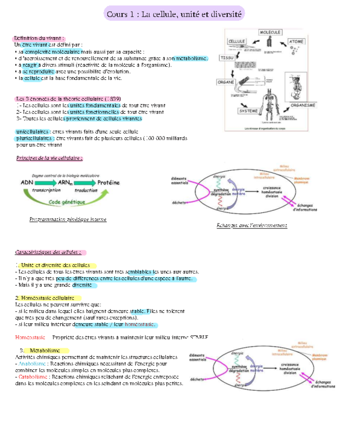 Cours 1 : La Cellule, Unité et Diversité des Êtres Vivants - Studocu