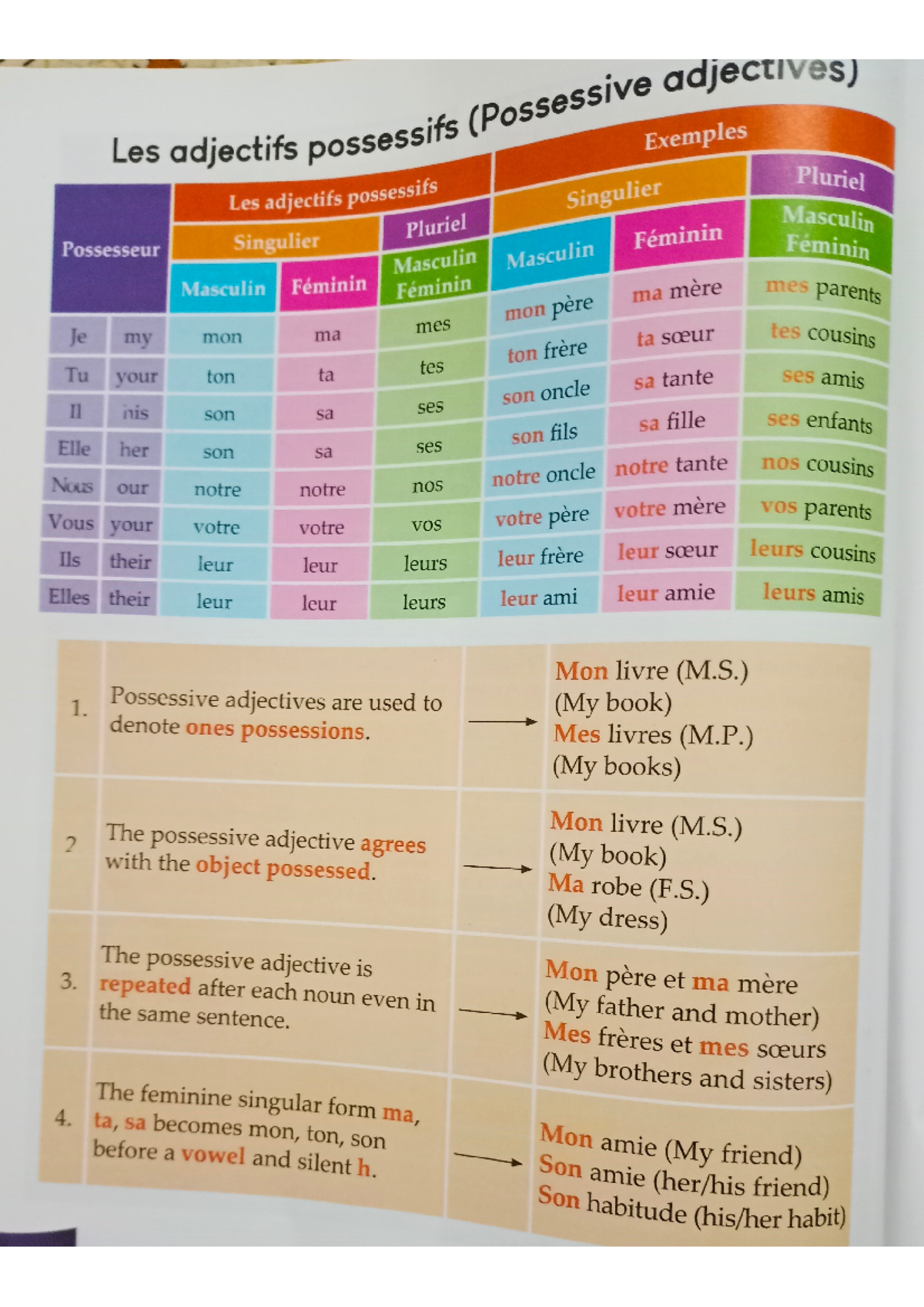 13-Nov-2024 French for Beginners: Possessive Adjectives Explained - Studocu