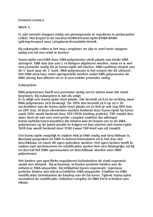 Genome Science Assignment - A. Gene annotation 1. interleukin 10 2. IL ...