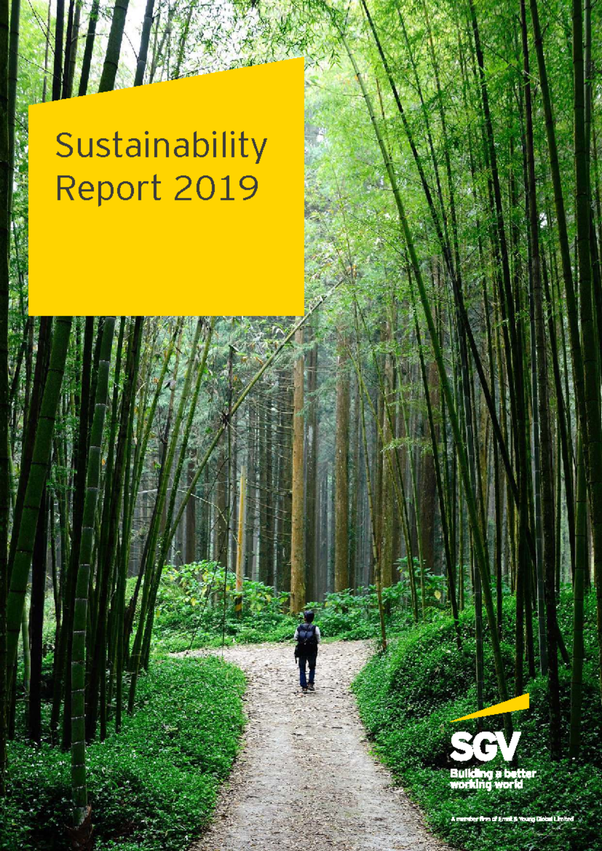 SGV Sustainability Report 2019: Building a Better Working World - Studocu
