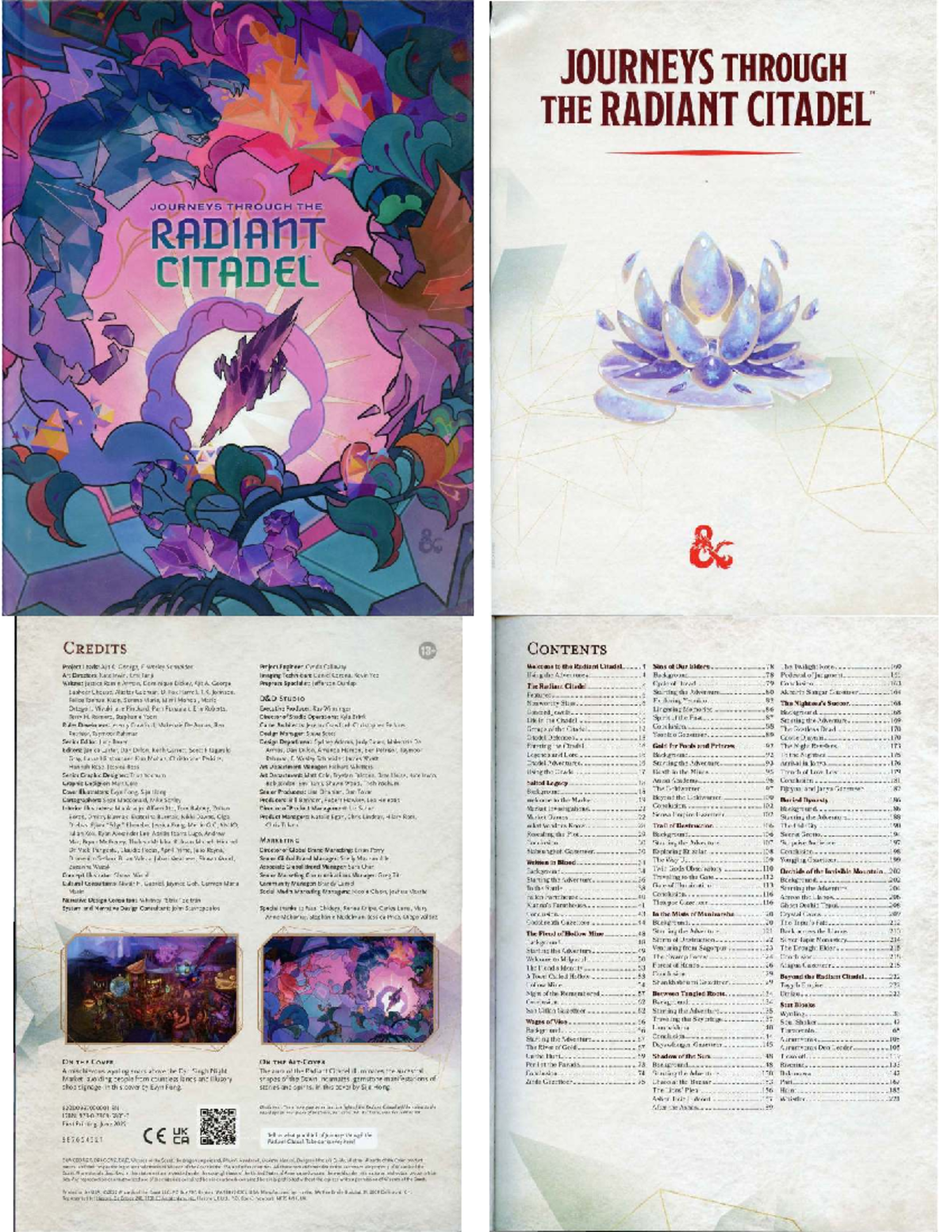 Journeys Through the Radiant Citadel: A Comprehensive Guide to ...