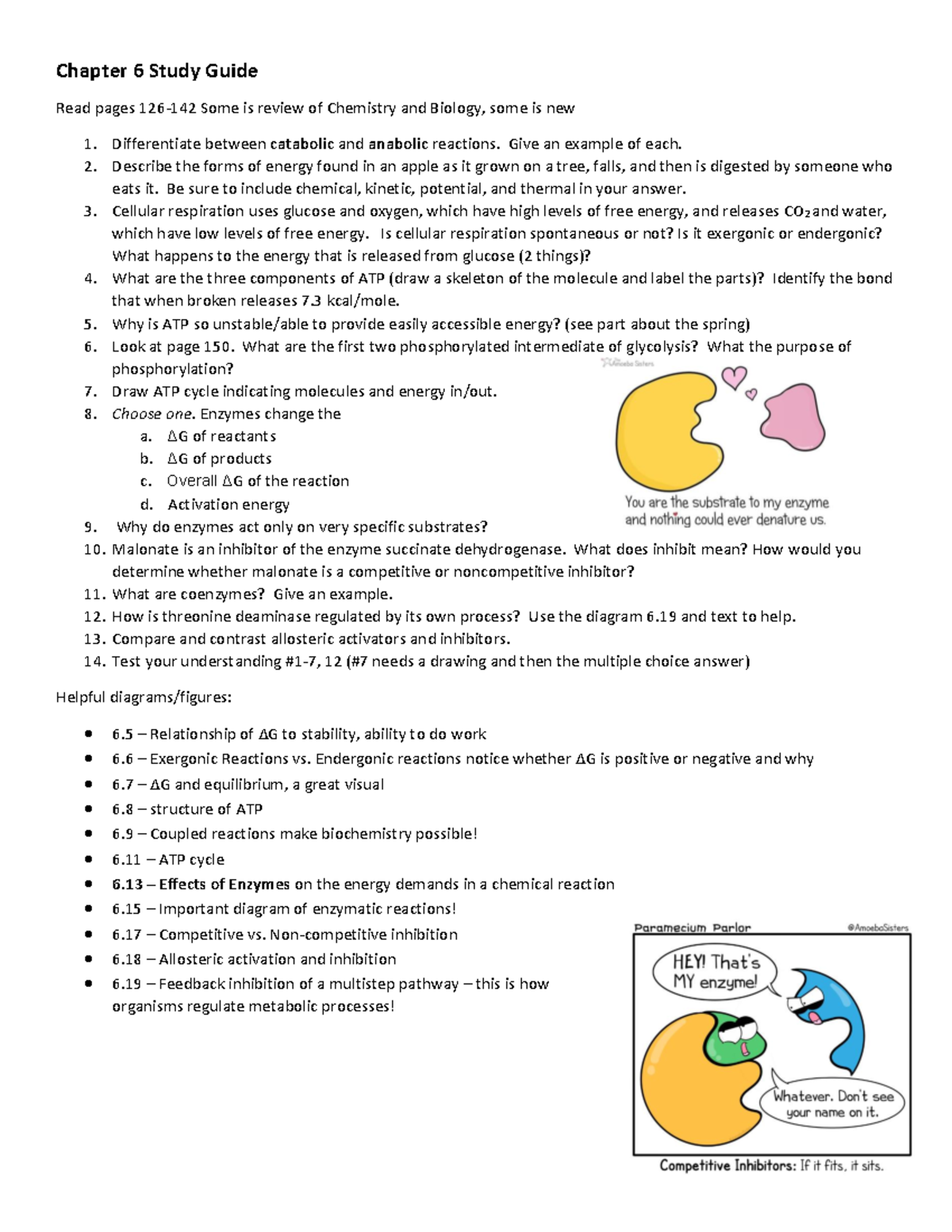 Chapter 6 Study Guide: Energy, Enzymes, and Metabolism Concepts - Studocu