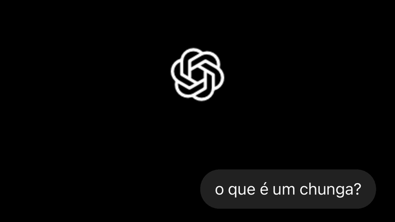 O que é um Chunga? Significados e Contextos em Diferentes Países - Studocu