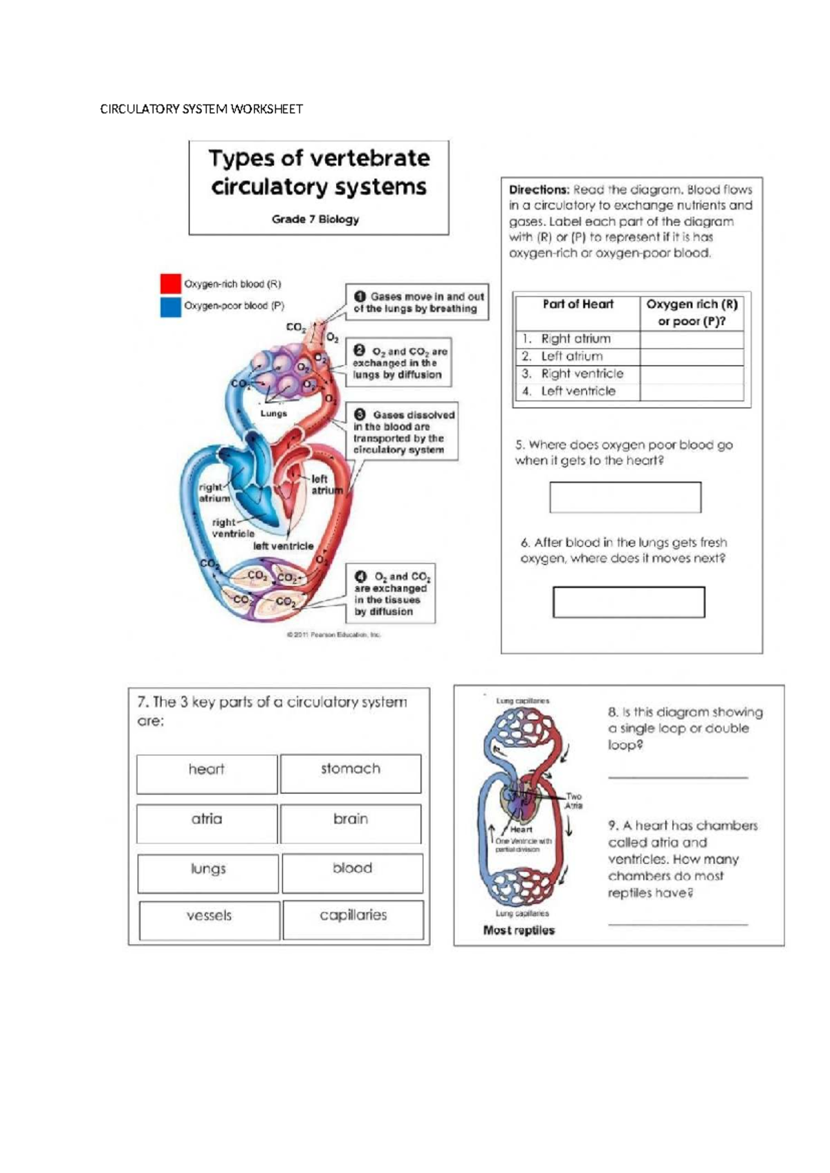 Form 3 Biology: Circulatory System MCQ & Structured Questions - Studocu