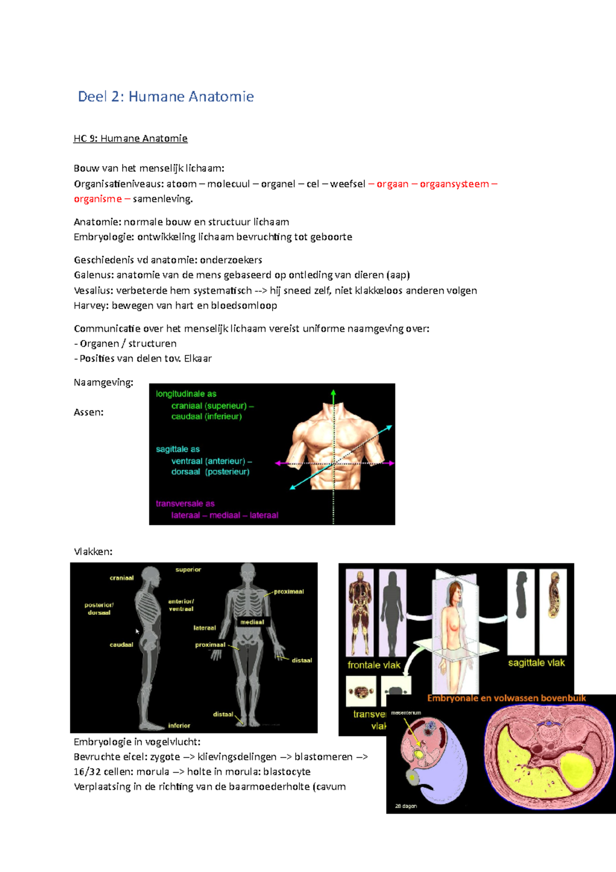 Samenvatting NANF HC 9-12: Humane Anatomie en Embryologie - Studeersnel