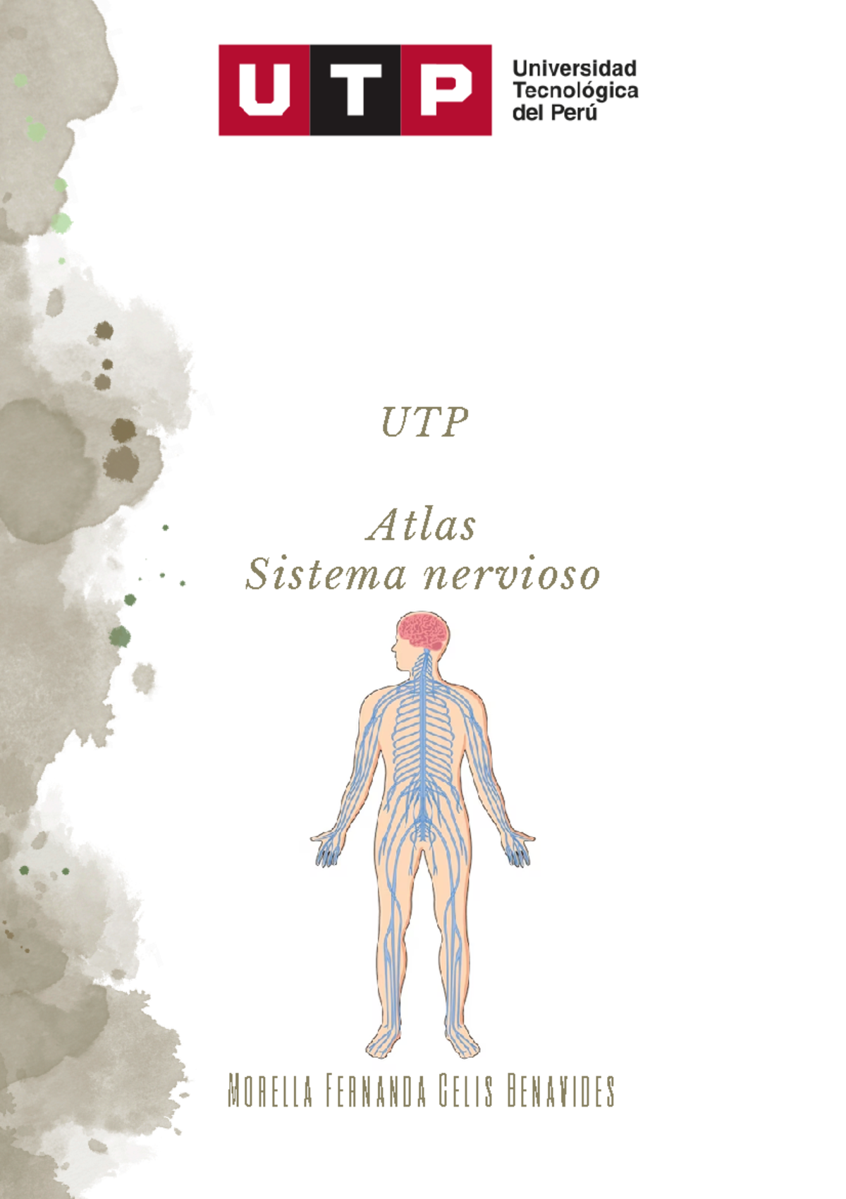 Atlas del Sistema Nervioso: Lóbulos y Neuronas UTP - Studocu