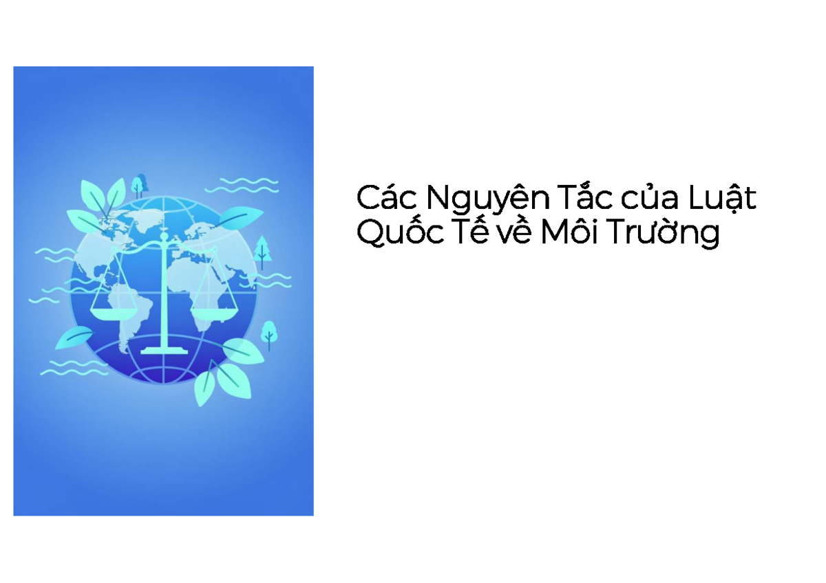 Nguyên Tắc Luật Quốc Tế về Môi Trường: Phân Tích và Ứng Dụng 01 02 03 ...